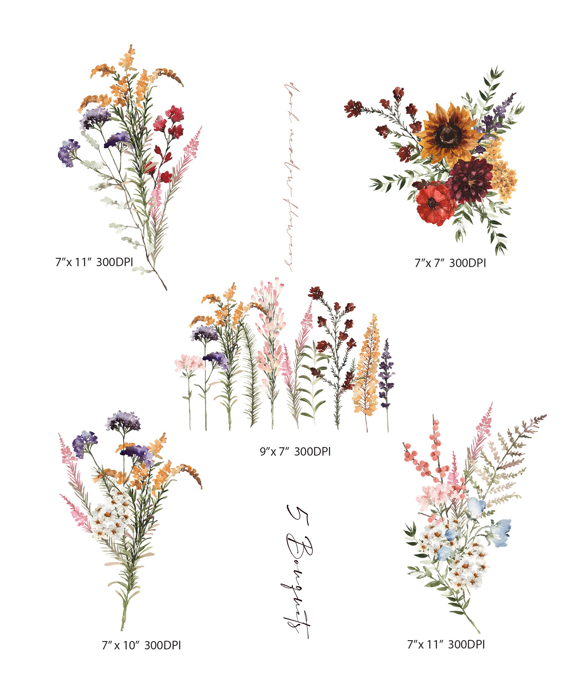 Dark MEADOW, Watercolor Fall Wildflower, Wildflower Bouquets ...