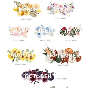 Botanical 12 Month, Watercolor Flower, Watercolor Flower Png, Month ...