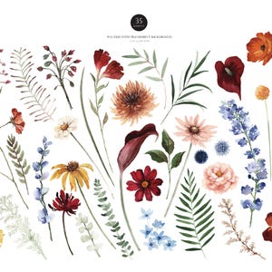FULL AUTUMN, Watercolor Flower PNG, Autumn Flower Clipart, Fall ...