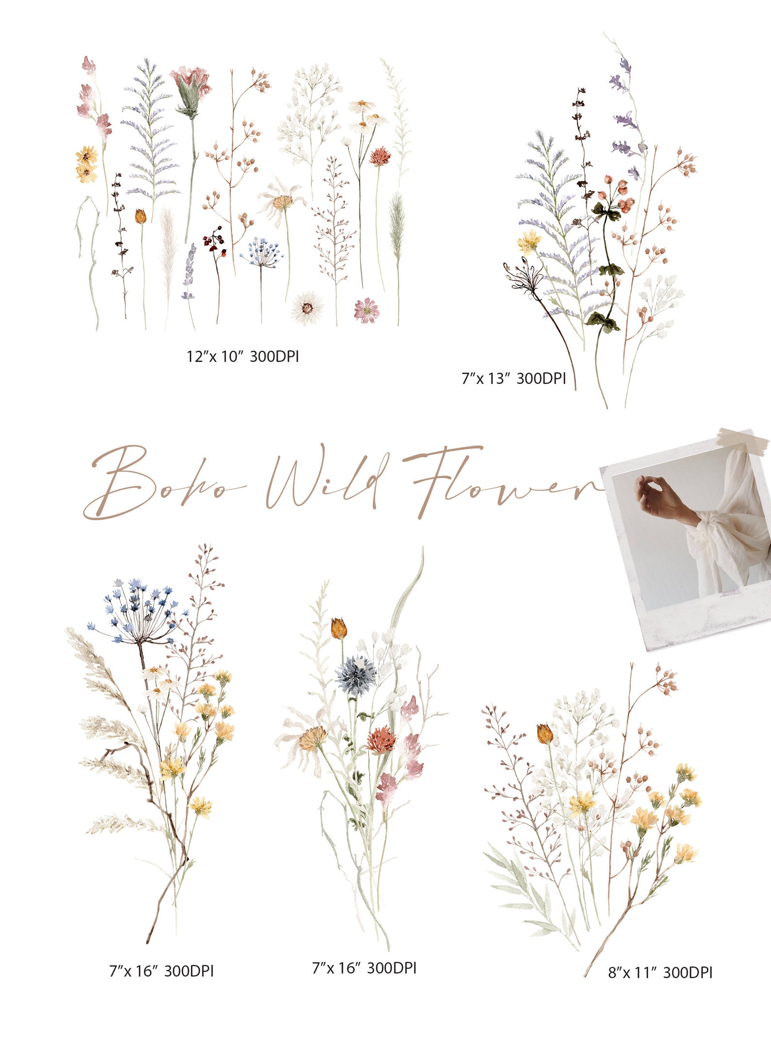 Boho Wild Flowers Watercolor Wild Flower Wild Flower PNG - Etsy