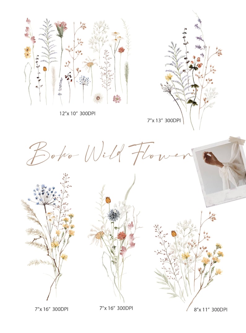Boho Wild Flowers, Watercolor Wild Flower, Wild Flower PNG, Watercolor ...