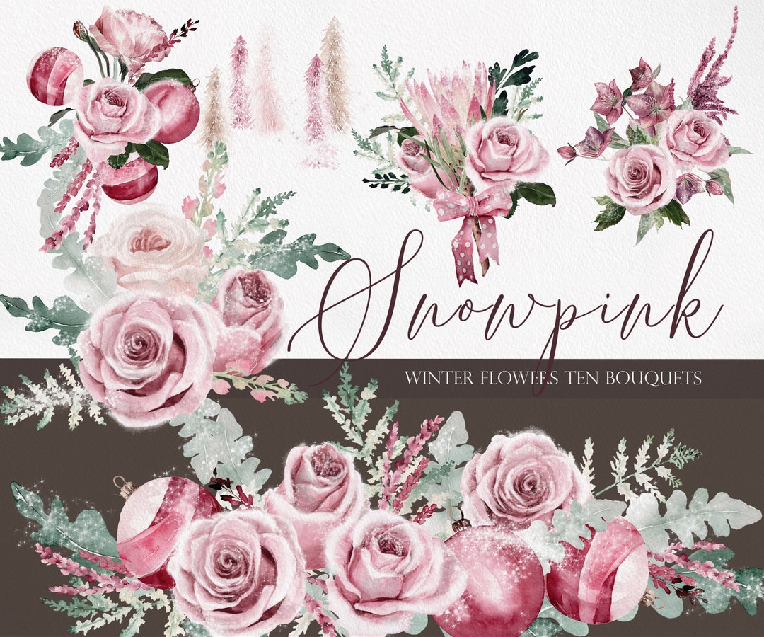 Snow Pink Flower, Winter Flower, Watercolor Flower, Rose Bouquets, Rose ...