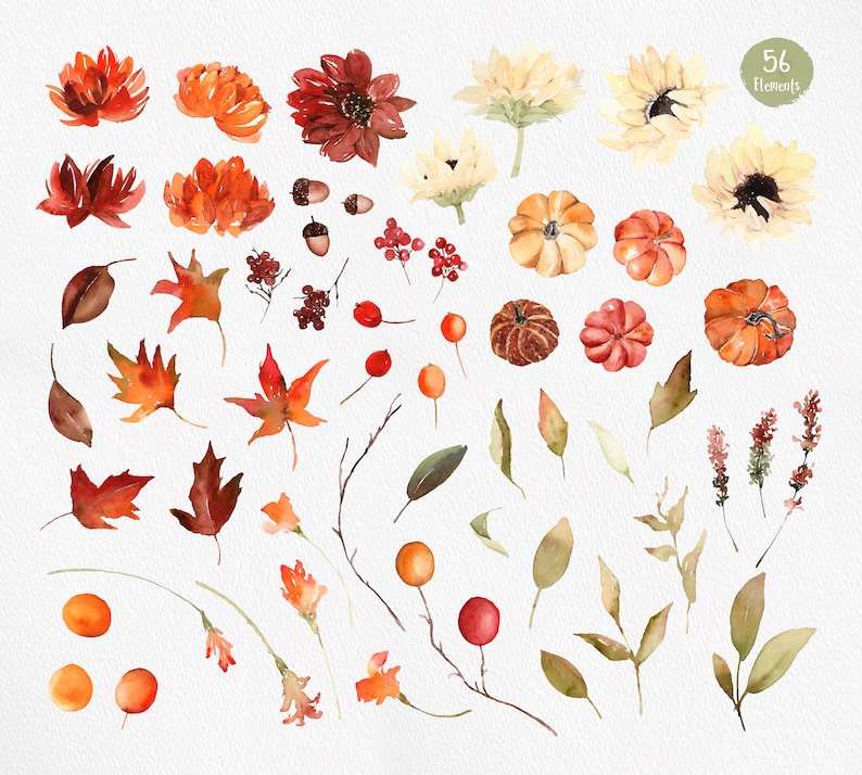 Watercolor Thanksgiving Clipart Autumn Botanical Watercolor - Etsy