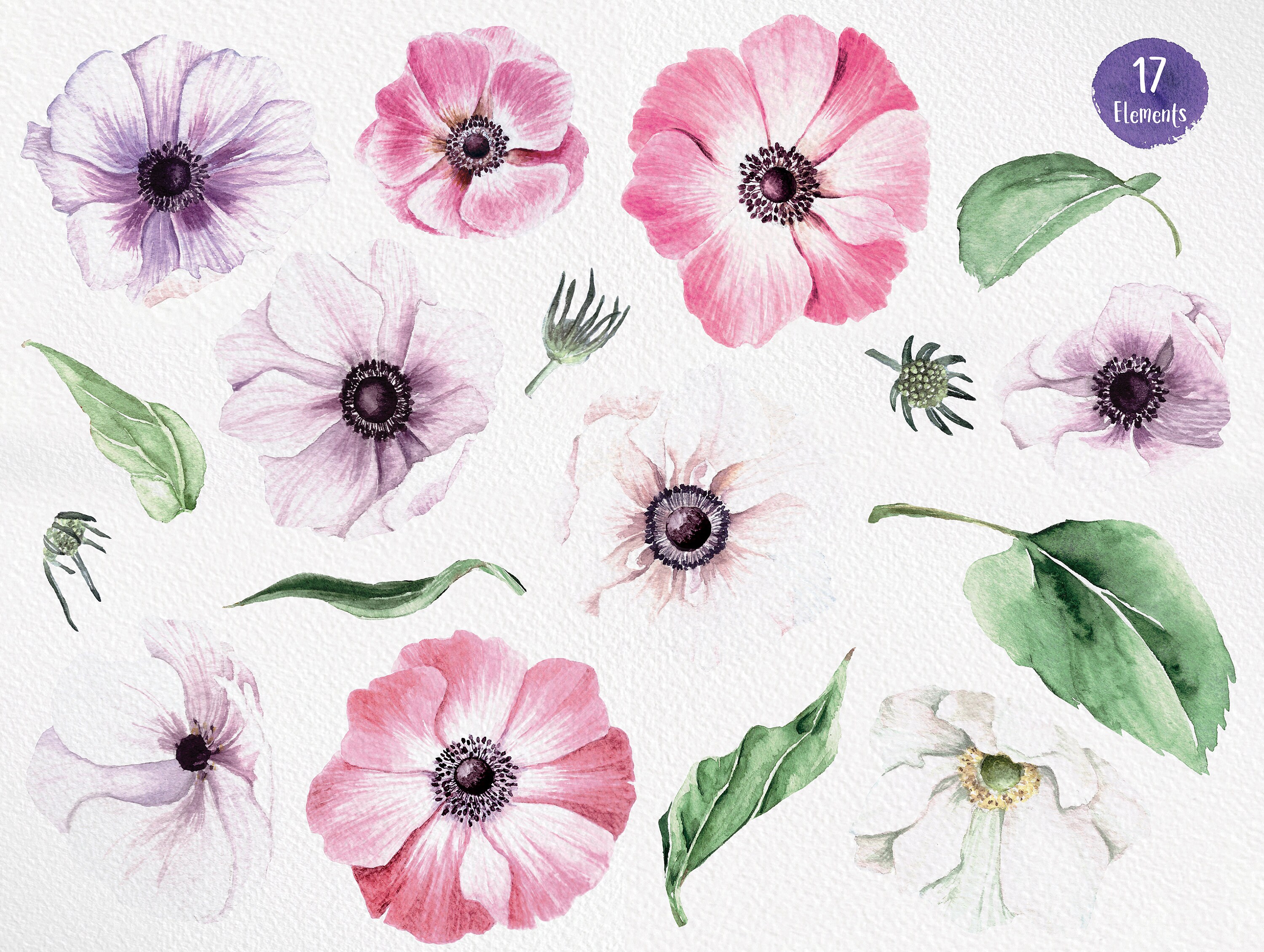 Anemone Clipart Greenery Watercolor Bouquets Anemone - Etsy