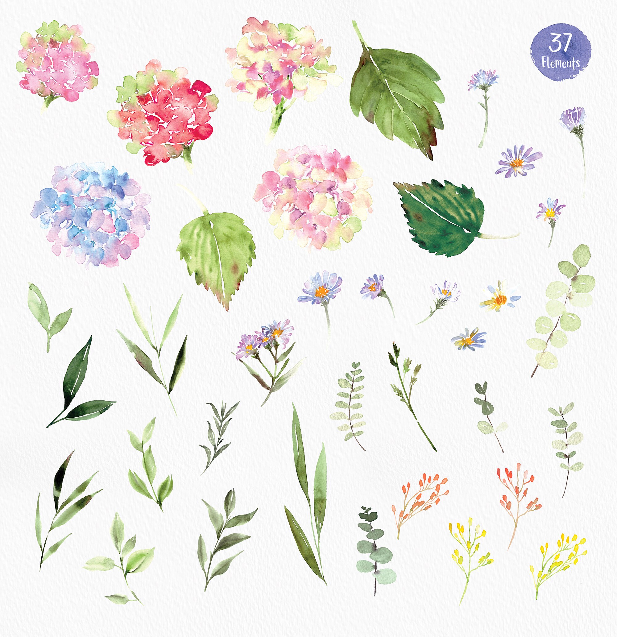 Watercolor Clipart Hydrangea Bouquet Floral Arrangements - Etsy