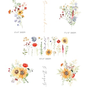 SUNNY Field, Watercolor Flower, Watercolor Clipart, Watercolor Wild ...