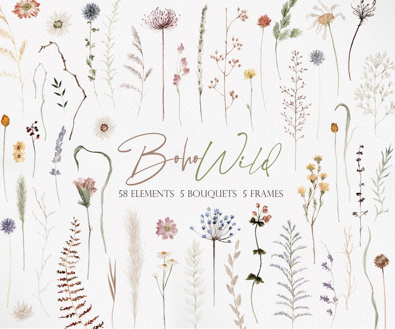 Boho Wild Flowers Watercolor Wild Flower Wild Flower PNG - Etsy