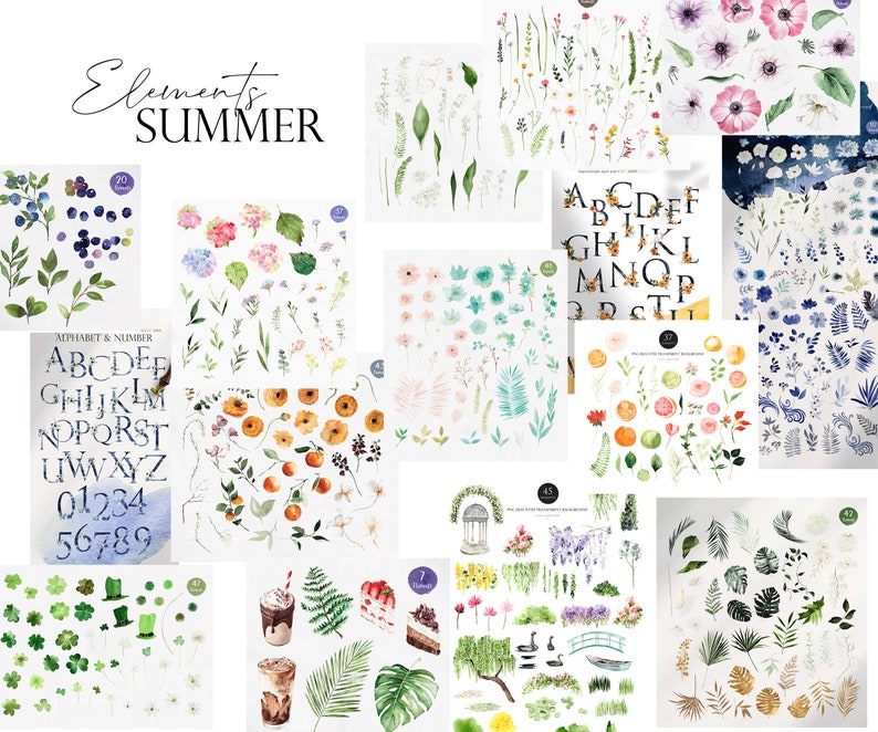 Summer Flower Bundle Watercolor Flower Bundle Flower PNG - Etsy