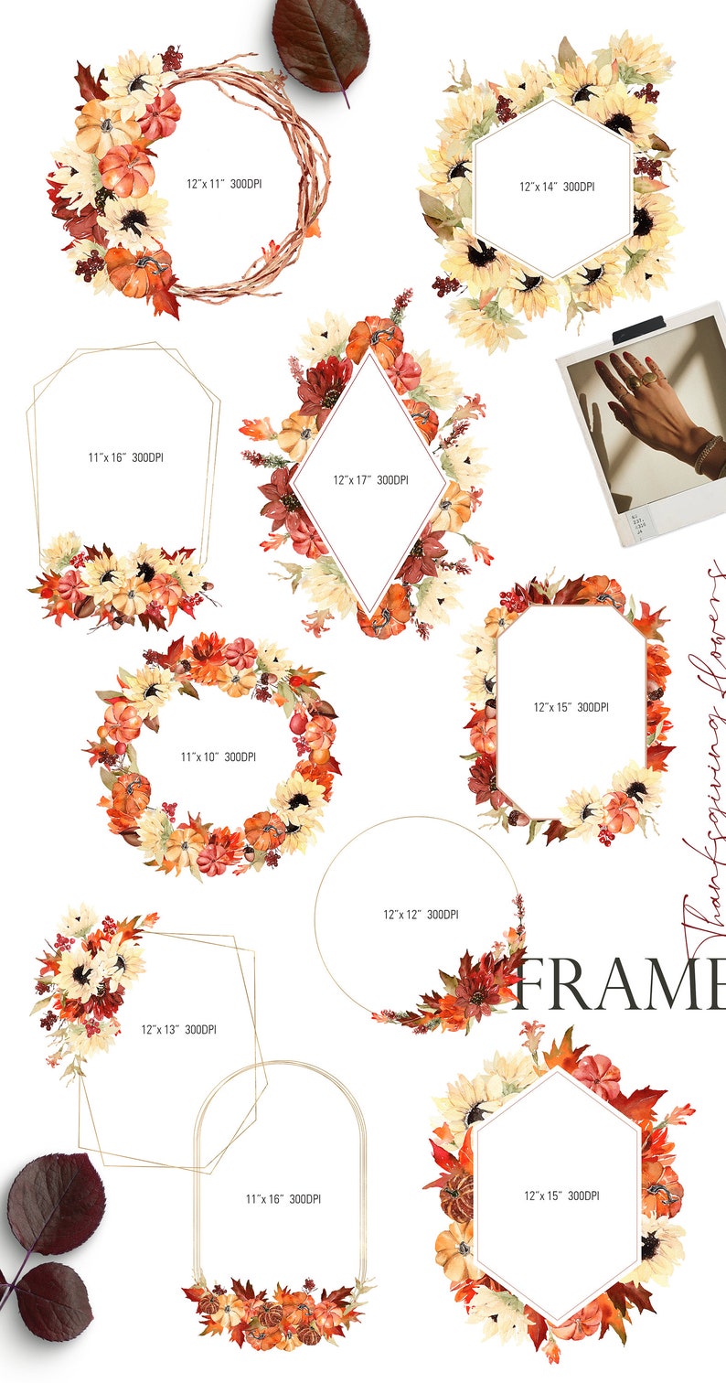 Watercolor Thanksgiving Clipart Autumn Flower Watercolor | Etsy