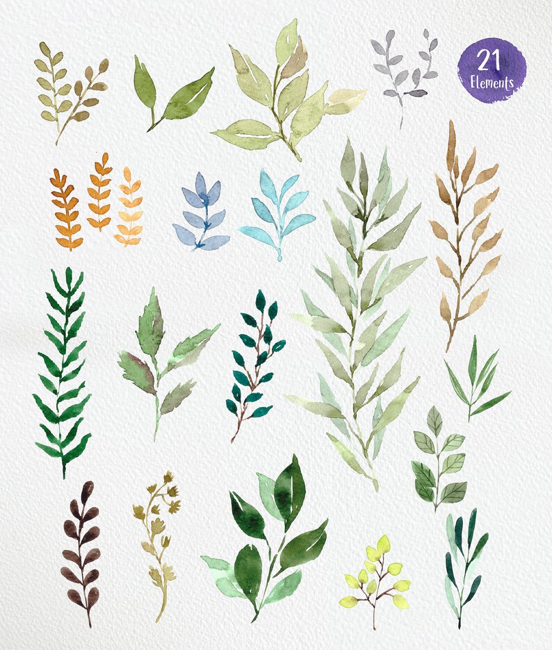 Watercolor Greenery Clipart Leaf Clipart Watercolor Leaves - Etsy