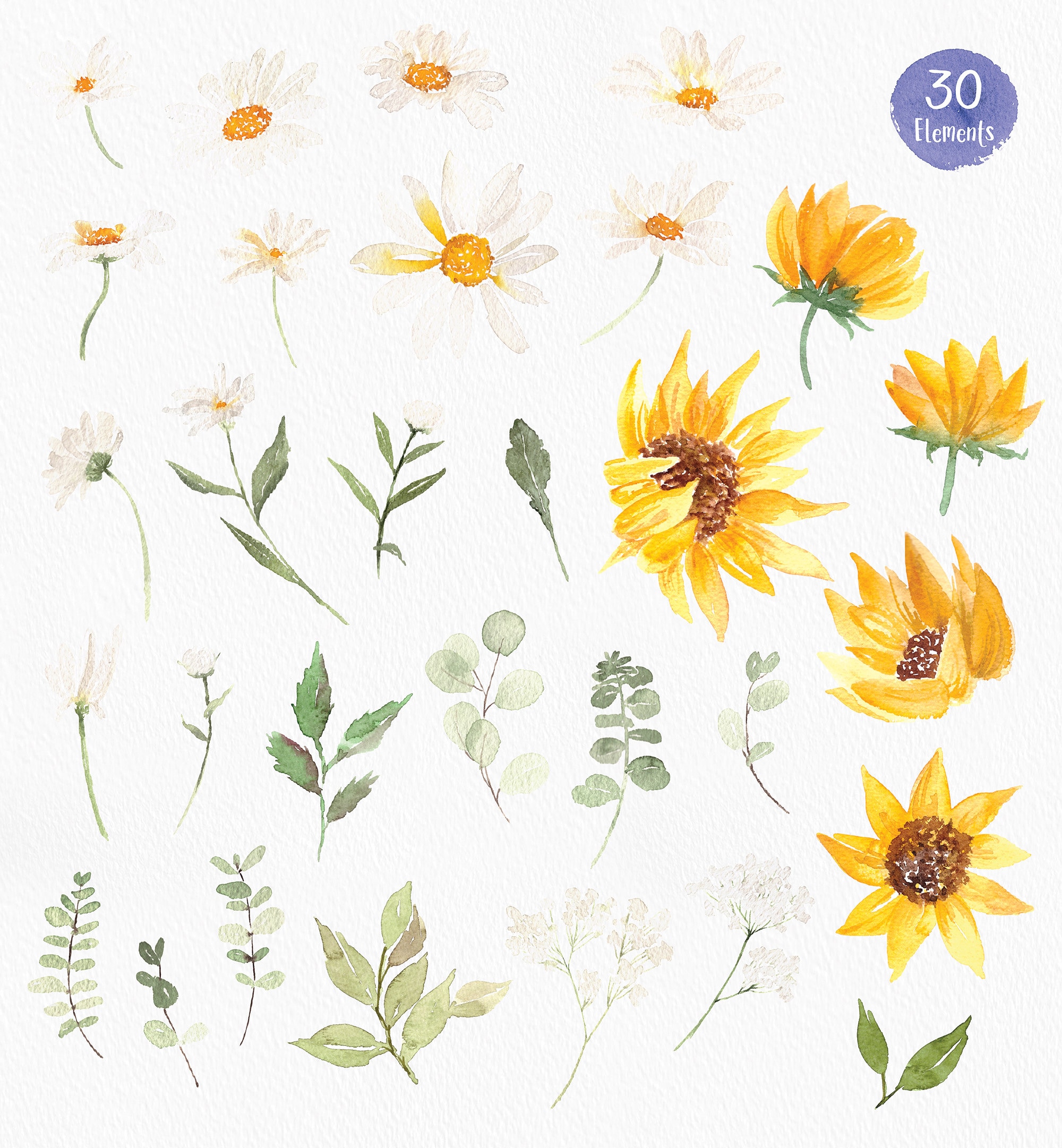 Watercolor Clipart Daisy Bouquet Floral Arrangements Sun - Etsy
