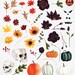 Halloween Clipart PNG , Halloween Watercolor PNG, Autumn Clipart, Skull ...