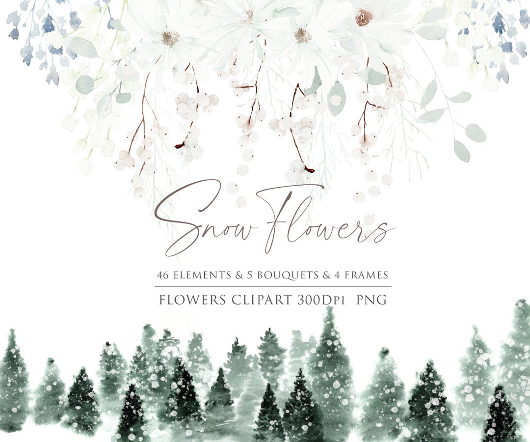 Snow Flower Clipart, Watercolor Winter Flower, Winter Snow Clipart ...