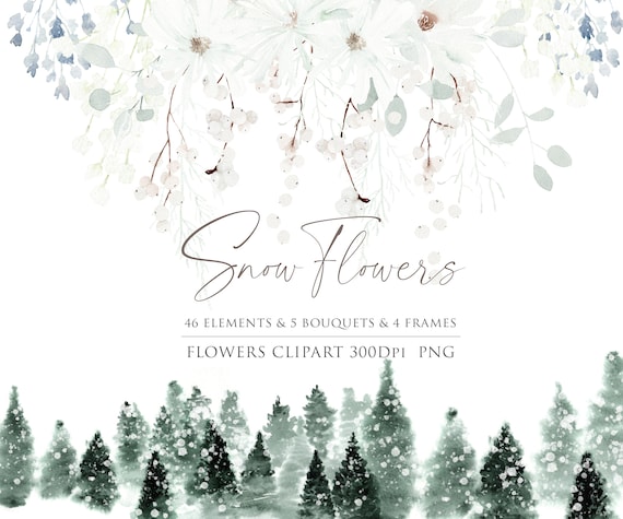 Snow Flower Clipart Watercolor Winter Flower Winter Snow - Etsy