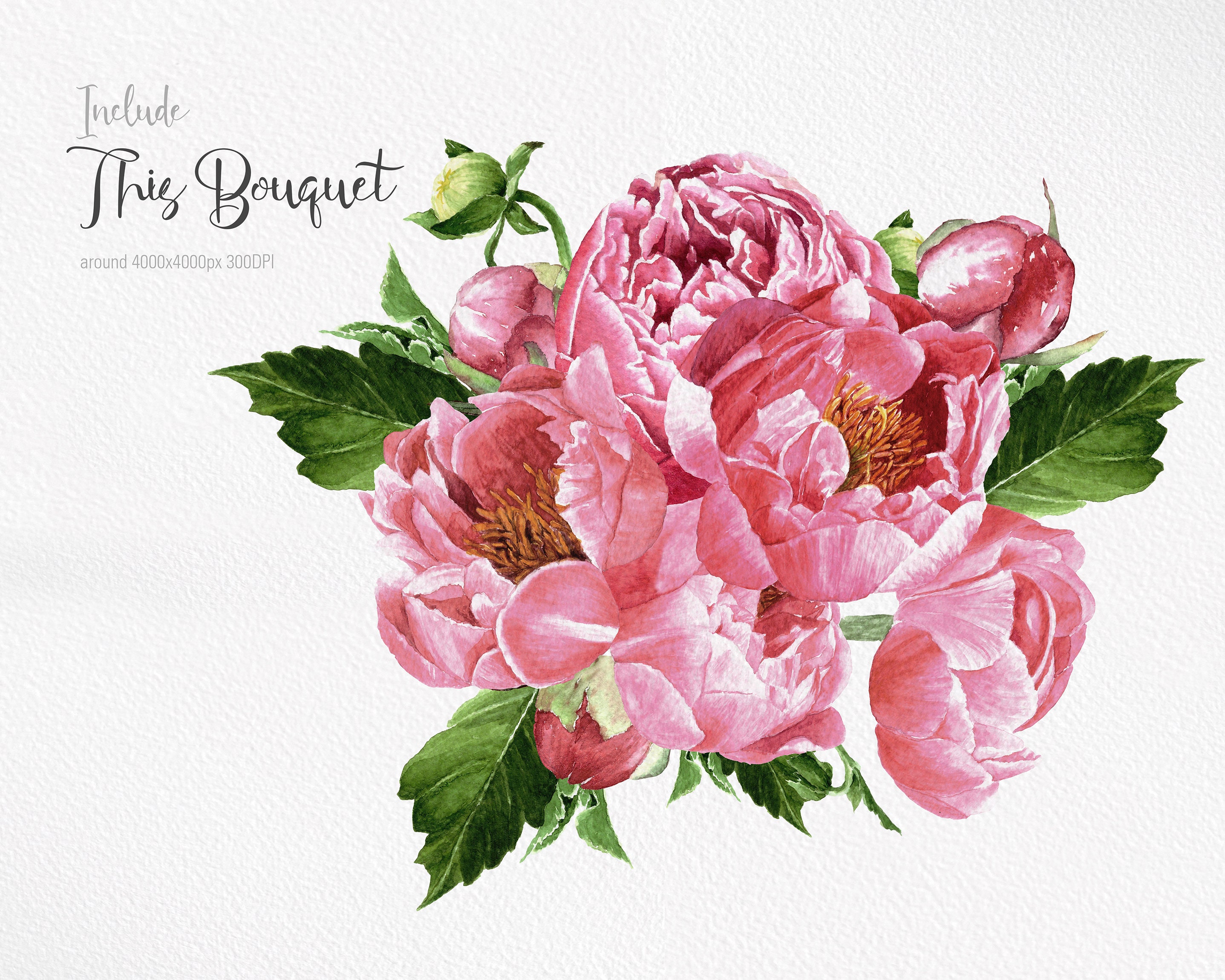 Pfingstrose Aquarell Clipart, Greenery Aquarell Bouquets, Pfingstrose ...