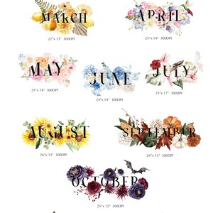 Botanical 12 Month, Watercolor Flower, Watercolor Flower Png, Month ...