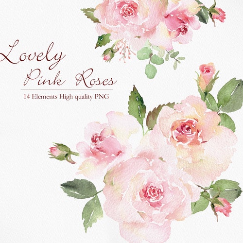 Watercolor Roses Clipart Vintage Rose Pink Clip Art Rose - Etsy