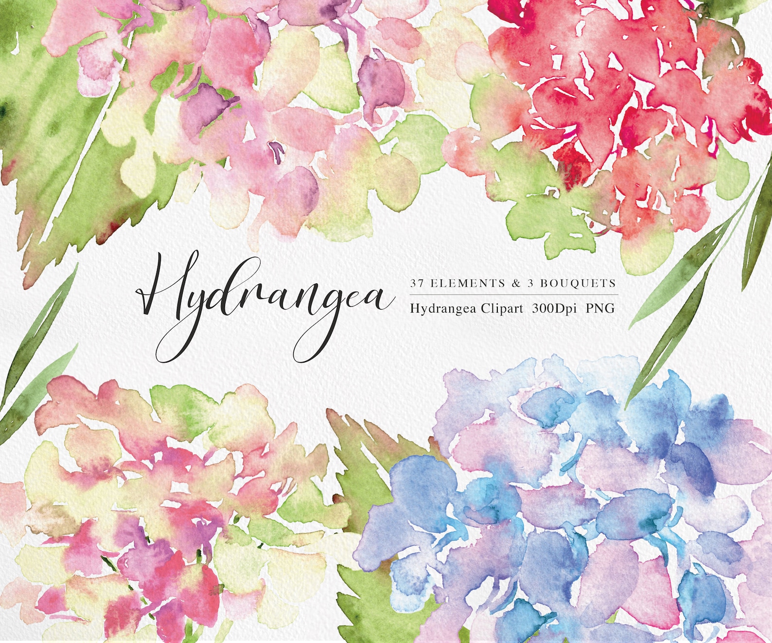 Watercolor Clipart Hydrangea Bouquet Floral Arrangements - Etsy