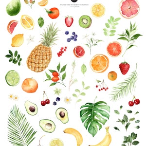 Tropical Fresh,watercolor Clipart,watercolor Fruit Clipart,tropical ...