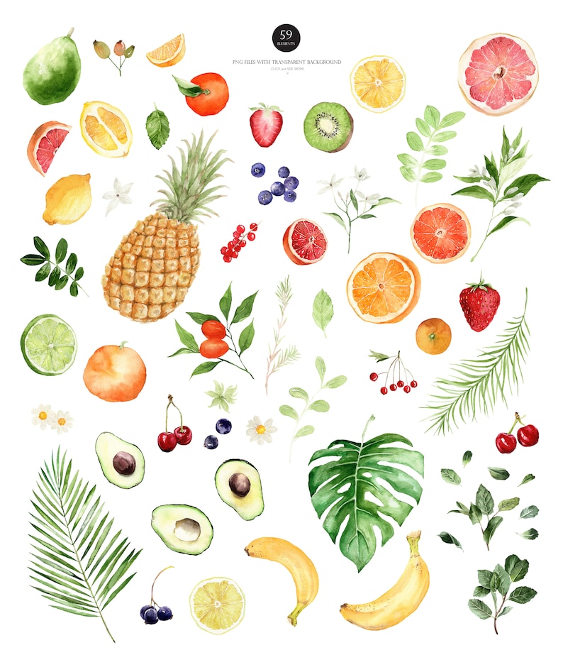 Tropical Fresh,watercolor Clipart,watercolor Fruit Clipart,tropical ...