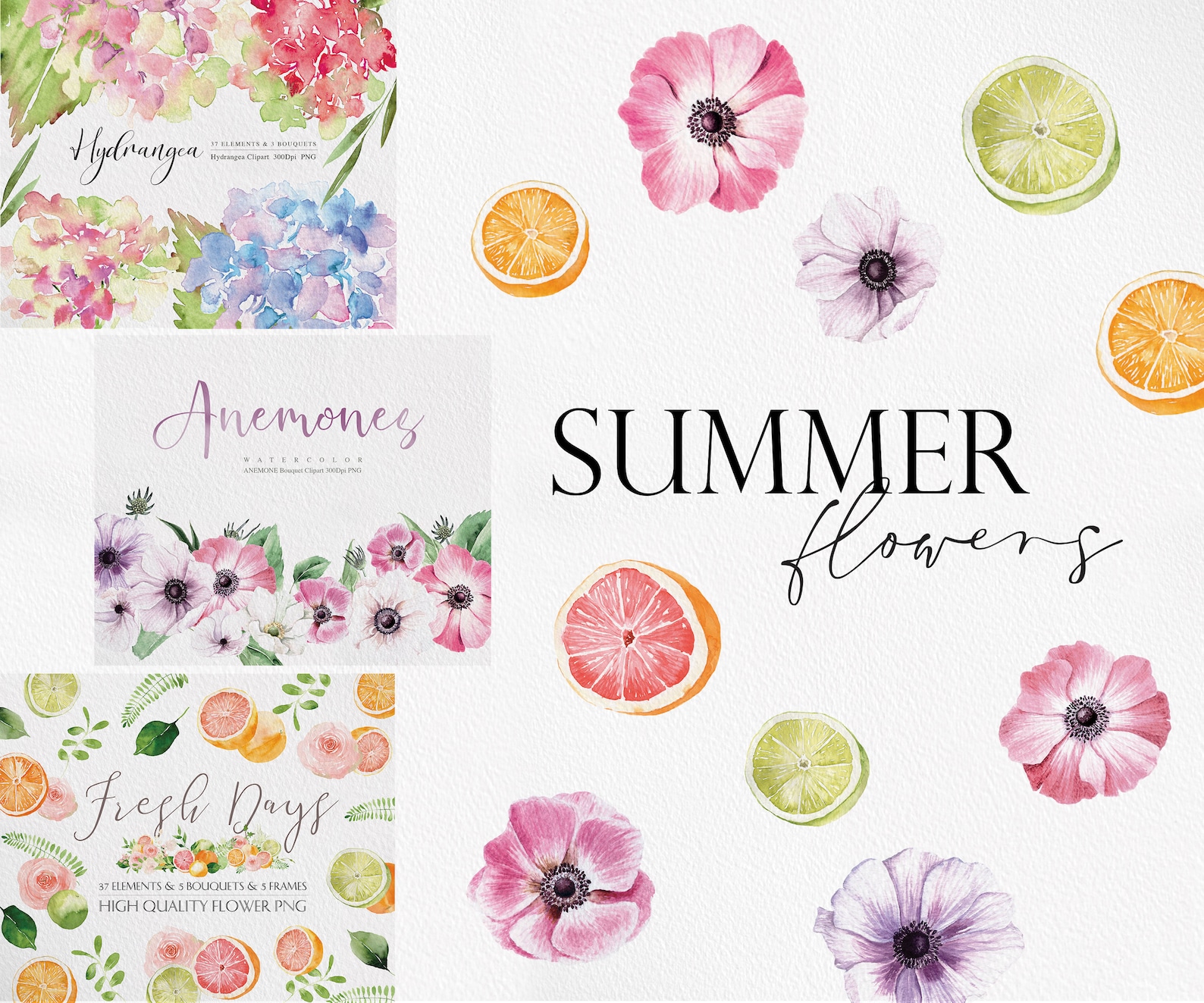 Summer Flower Bundle Watercolor Flower Bundle Flower PNG - Etsy