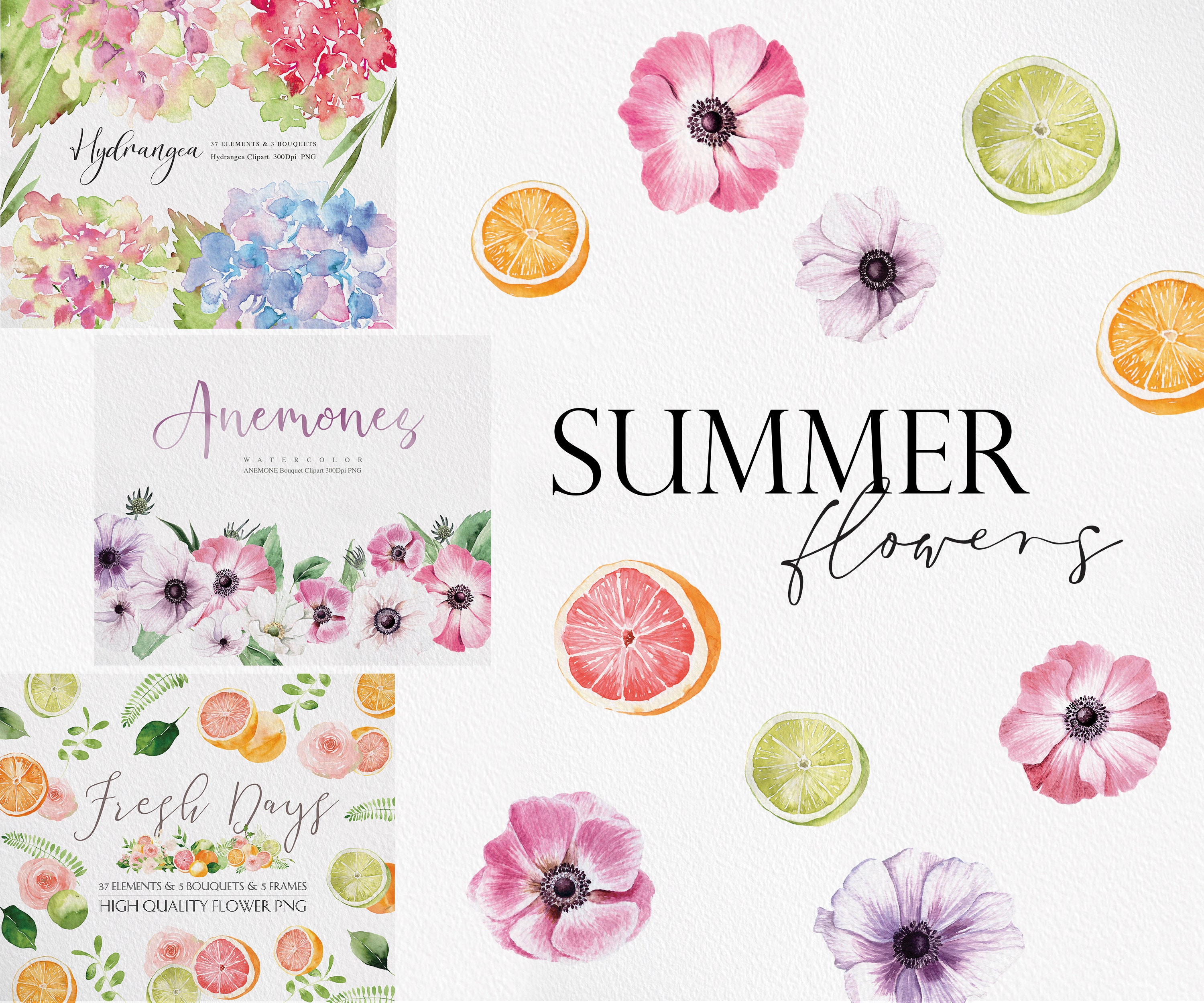 Summer Flower Bundle Watercolor Flower Bundle Flower PNG | Etsy