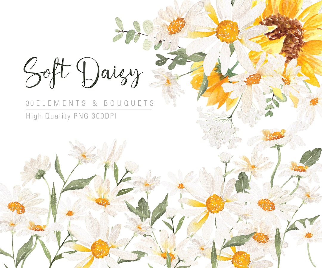Watercolor Clipart, Daisy Bouquet, Floral Arrangements, Sun Flower ...