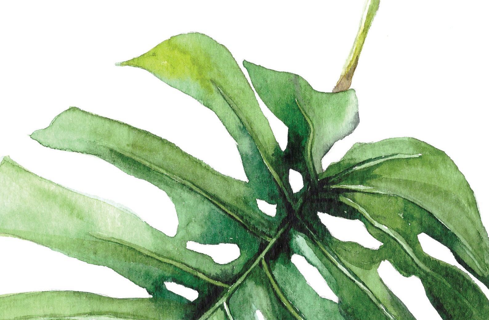 Greenery Watercolor Printable Wall Art Watercolor Print - Etsy