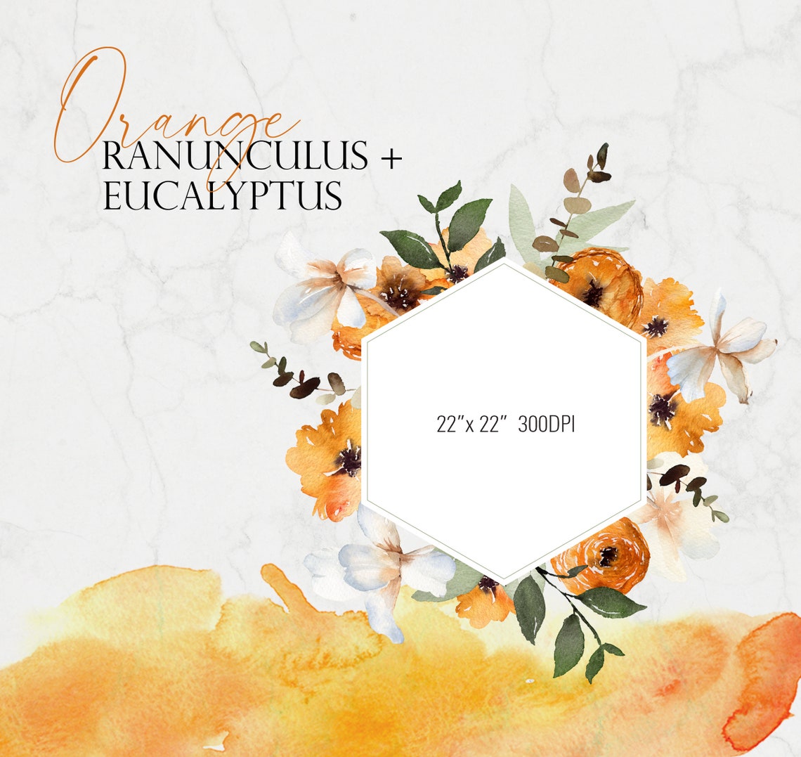 Watercolor Frame, Orange Flower Frame, Watercolor Clipart, Watercolor ...