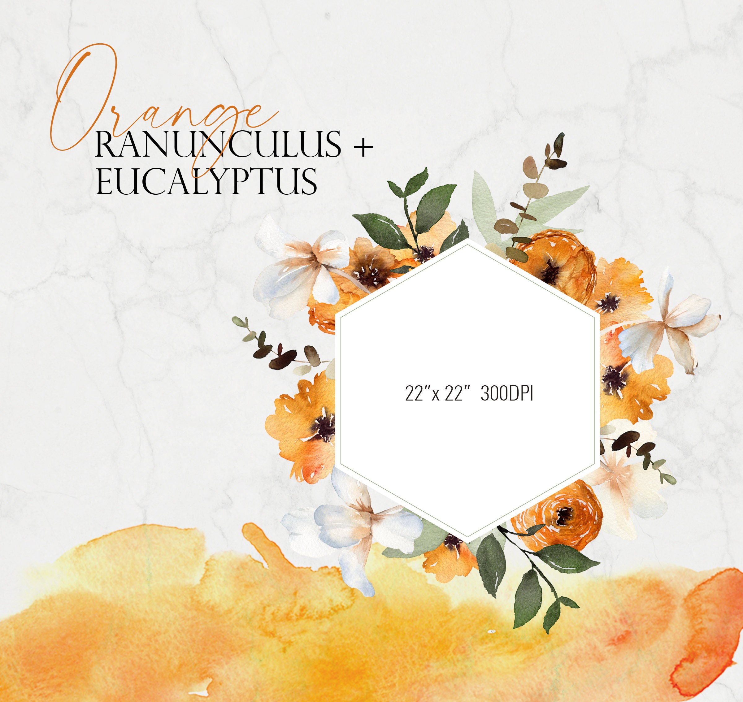 Watercolor Frame Orange Flower Frame Watercolor Clipart - Etsy