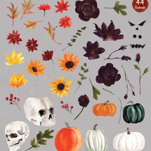 Halloween Clipart PNG , Halloween Watercolor PNG, Autumn Clipart, Skull ...