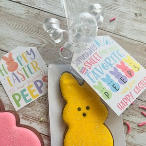 PEEPS Sugar Cookie Set | Easter - Etsy