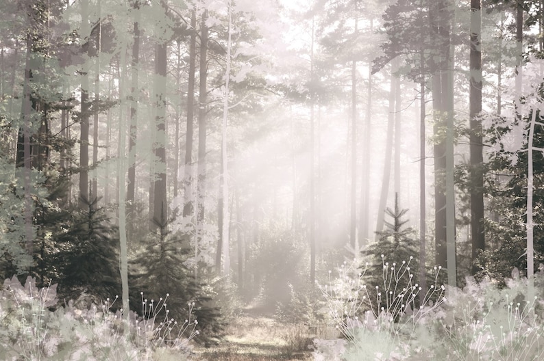 Gray Forest Wallpapers Premuim Wall Decor Customized Neutral - Etsy