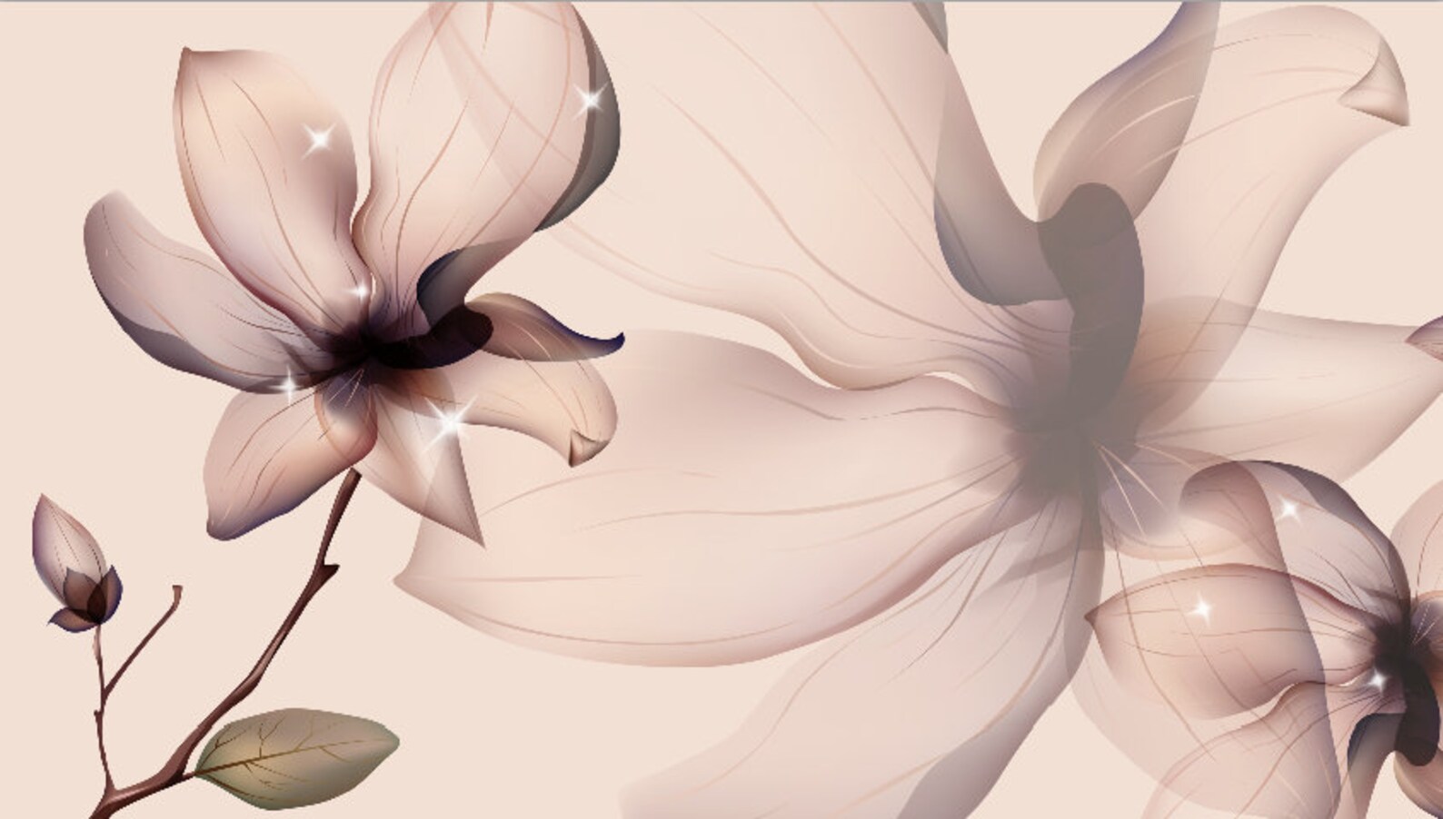 Beautiful Vinyl Wallpaper With Big Flower Flower Wall Mural - Etsy