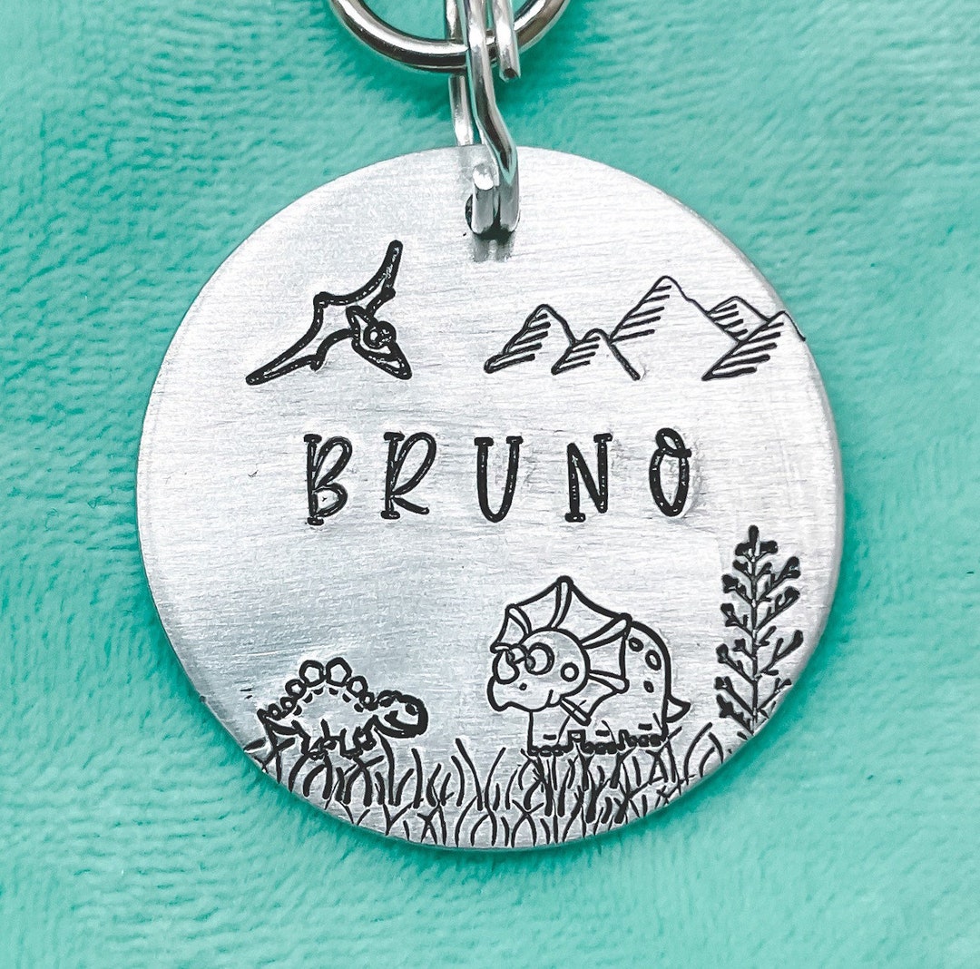 Dino Dog Tag, Dog Tag, Dinosaur Dog Tag, Dog Tags, Adventure Dog Tag ...