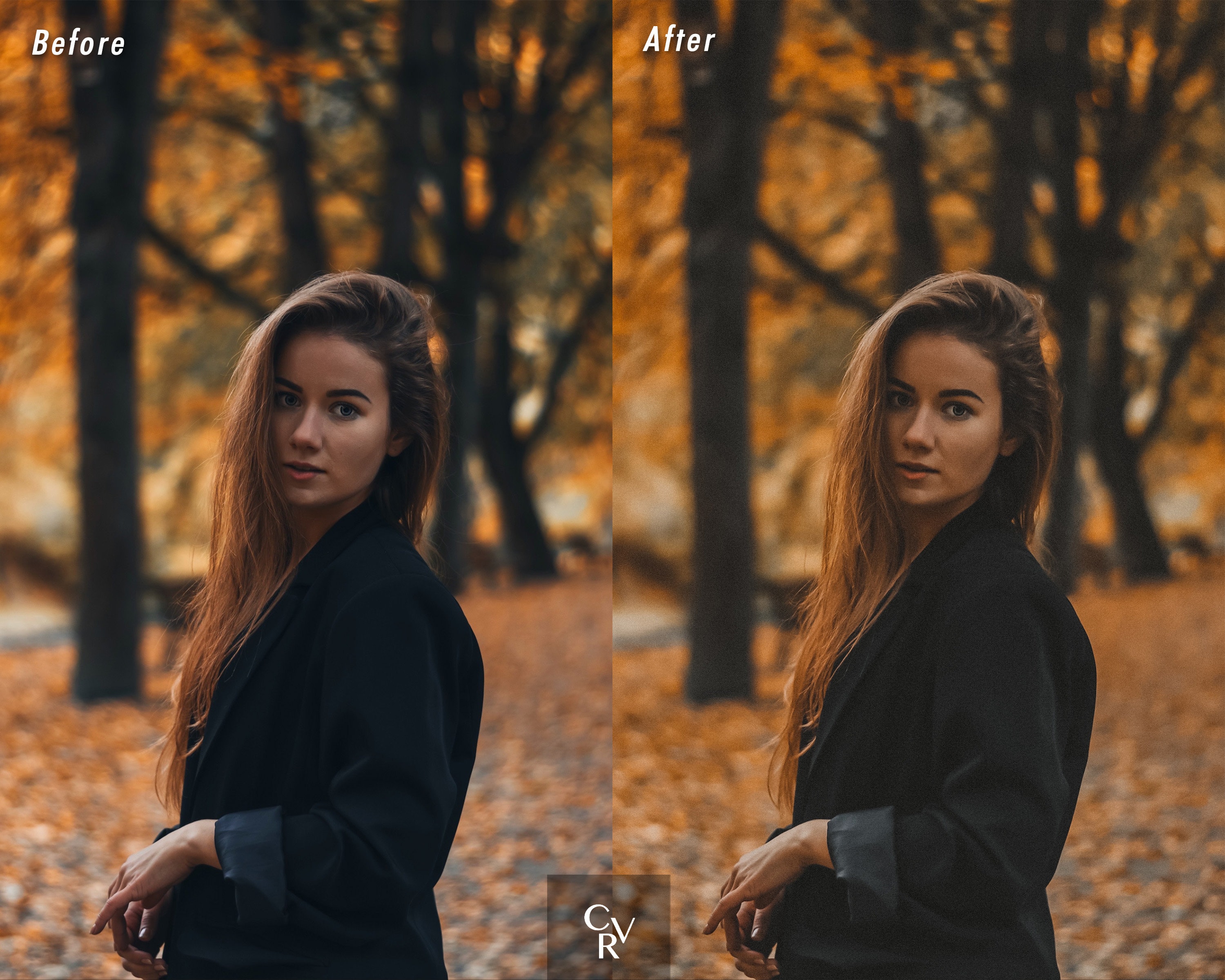 10 Fall Film Lightroom Presets. Desktop and Mobile. 10 Different ...