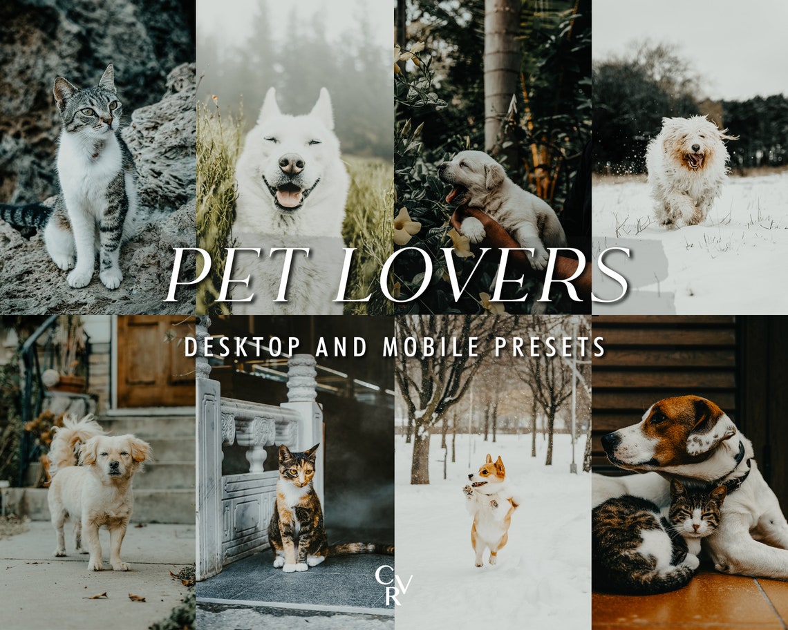 10 Pet Lovers Lightroom Presets. Desktop and Mobile. 10 - Etsy