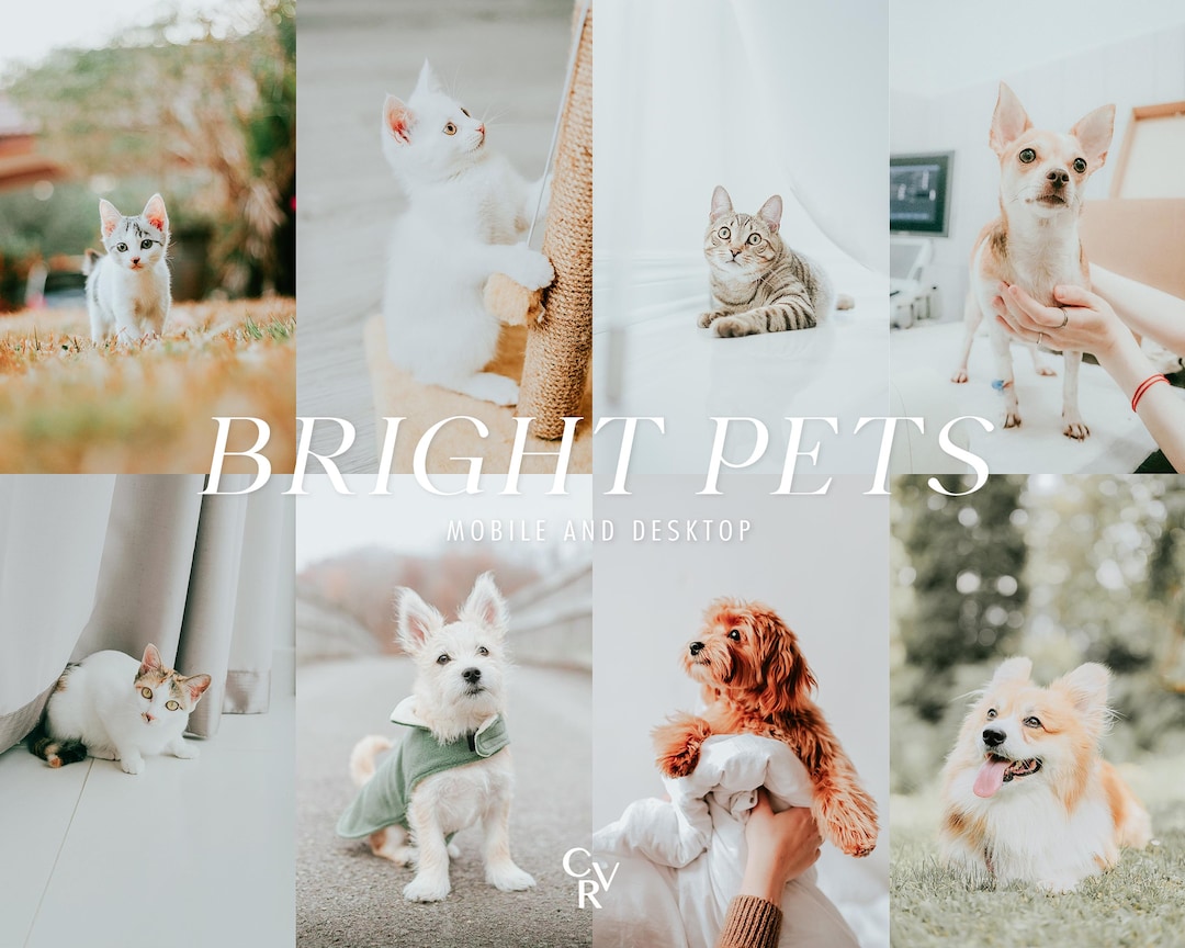 10 Bright Pets Lightroom Presets. Desktop and Mobile. 10 Different ...
