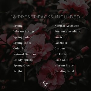 600+ SPRING Bundle Presets - Mobile and Desktop - Lightroom Preset ...