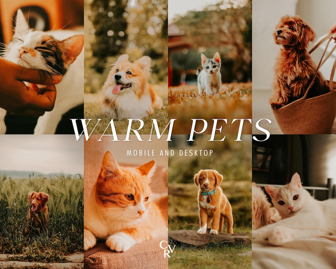 15 Warm Pets Lightroom Presets. Desktop and Mobile. 15 Different ...
