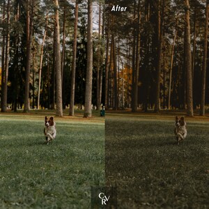 15 Dark Pets Lightroom Presets. Desktop and Mobile. 15 Different ...