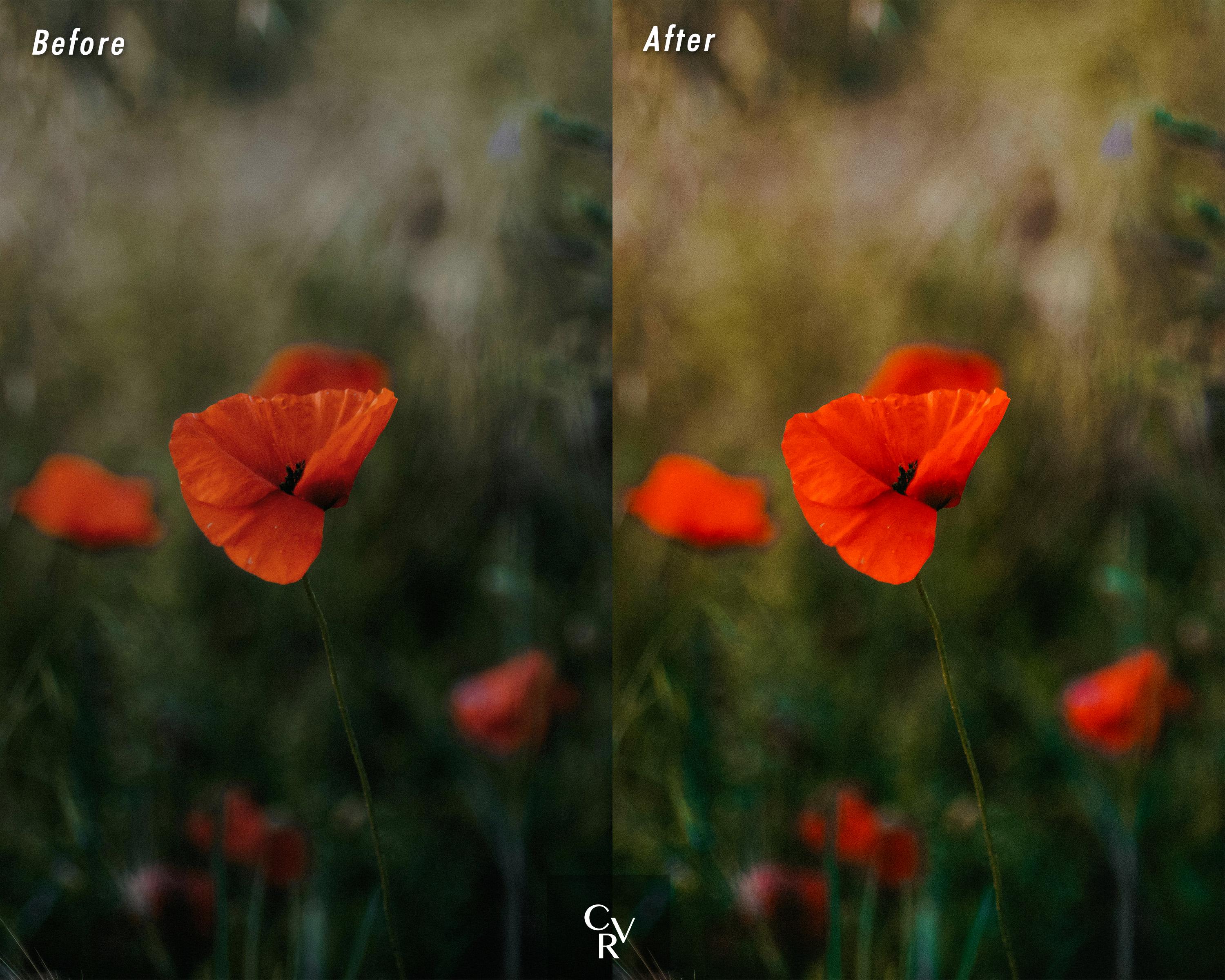 20 Colorful Lightroom Presets. Desktop and Mobile. 20 Different Presets ...