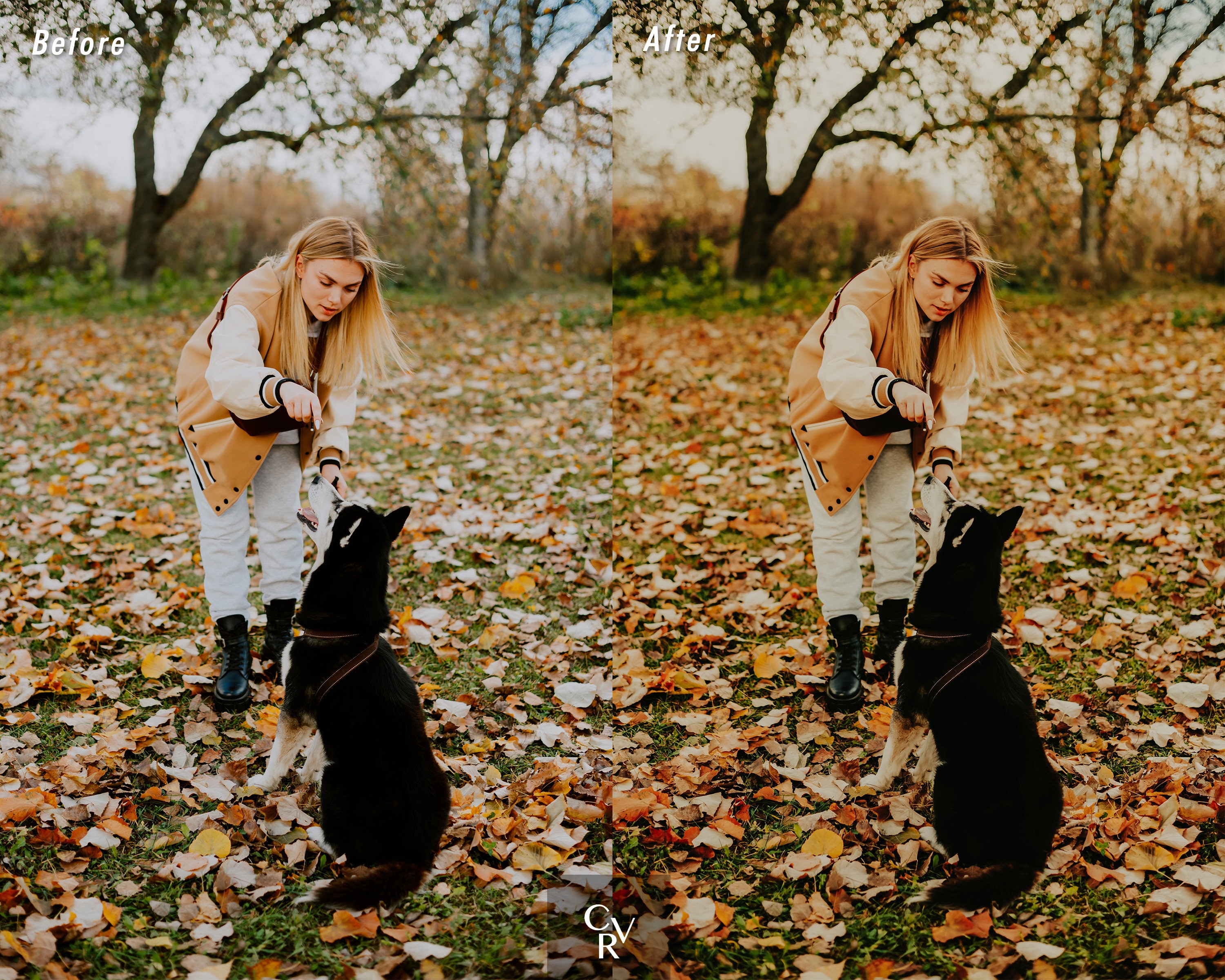 10 Rustic Fall Lightroom Presets. Desktop and Mobile. 10 Different ...