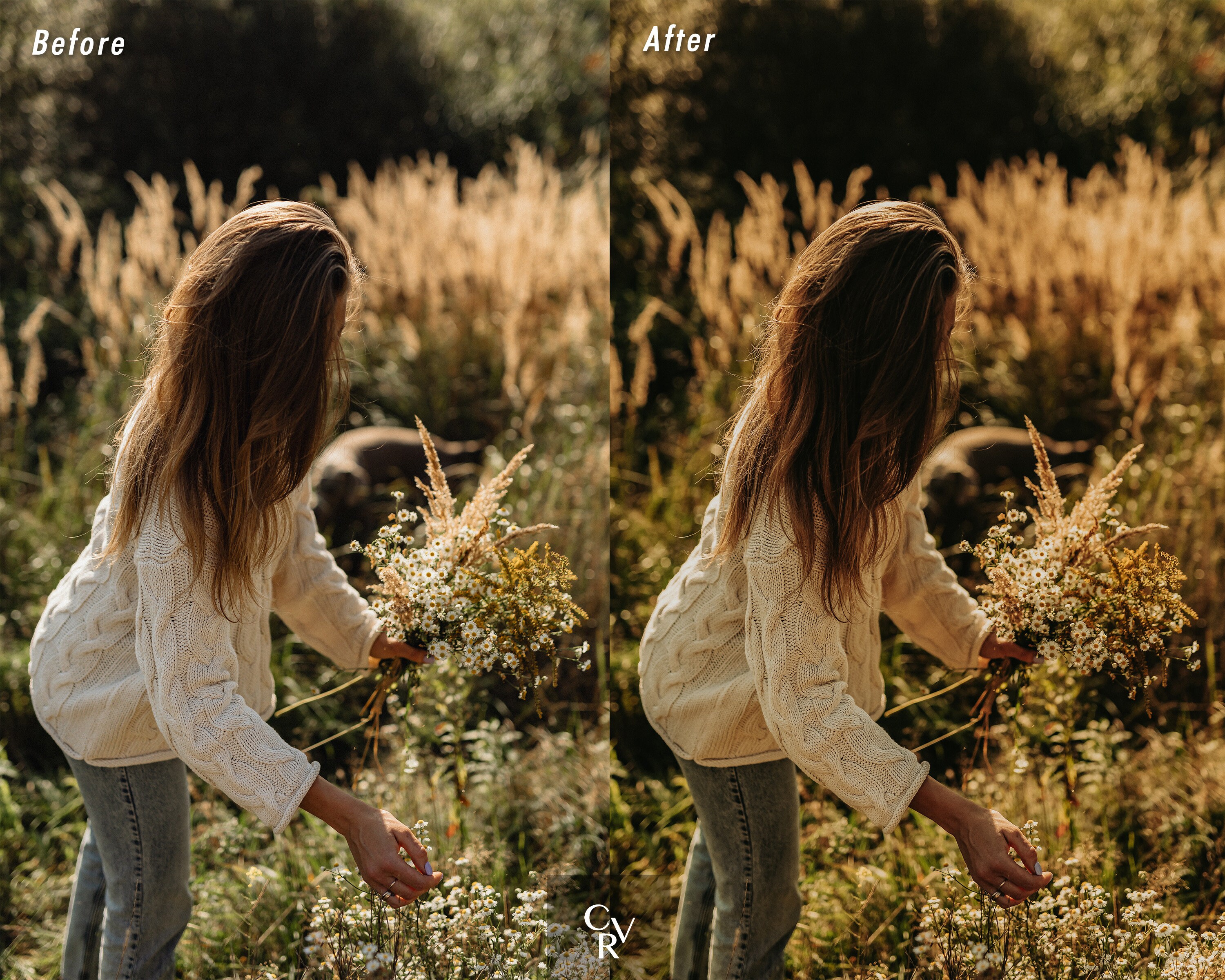 10 Rustic Fall Lightroom Presets. Desktop and Mobile. 10 Different ...