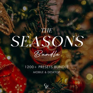 1200+ ALL SEASONS Bundle Presets - Mobile and Desktop - Lightroom ...