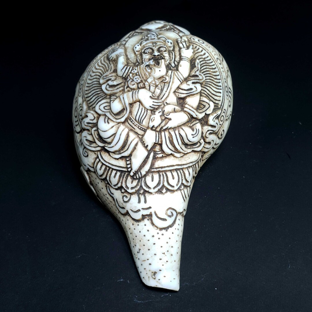20 CM, Tibetan Conch Shell With Various Gods Fine Hand Carved, Good ...