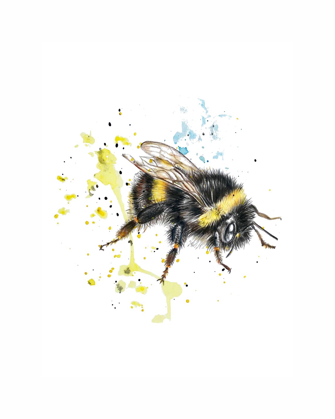 BumbleBee Insect Print Animal Art Detailed Bee Print Home | Etsy