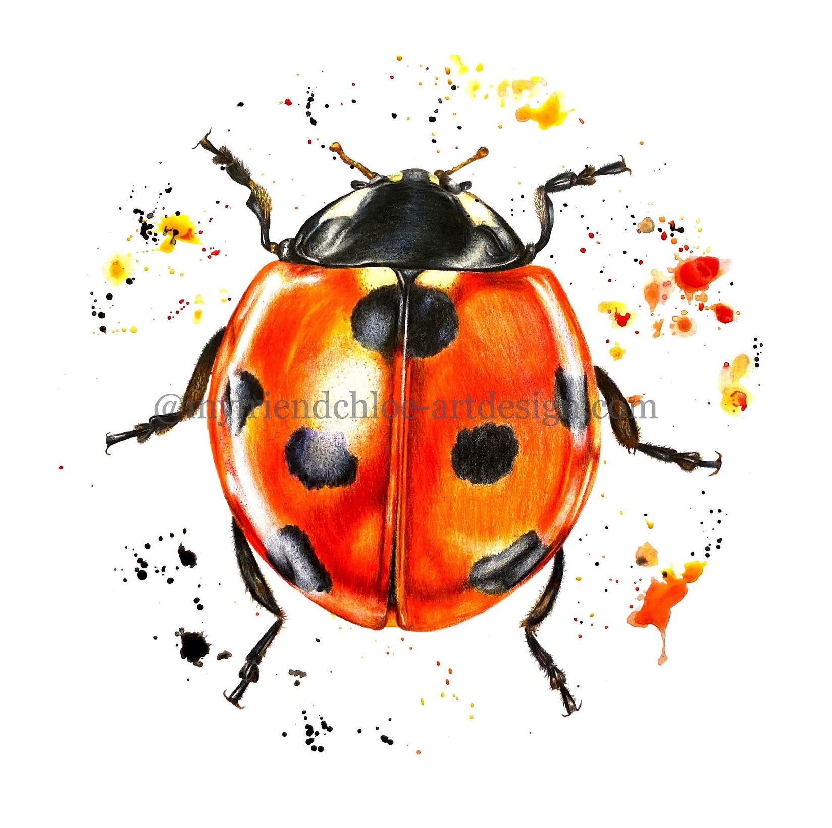 Ladybird Artwork Print, Ladybird Picture Framed, Modern Insect Drawing ...