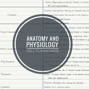 Anatomy & Physiology PDF Flash Cards Cells - Etsy