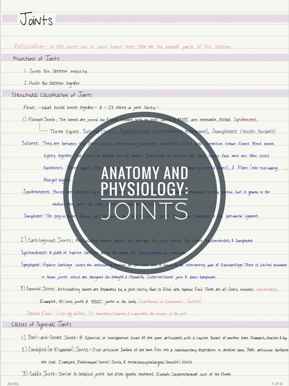 Anatomy & Physiology PDF Notes Joints Printable | Etsy